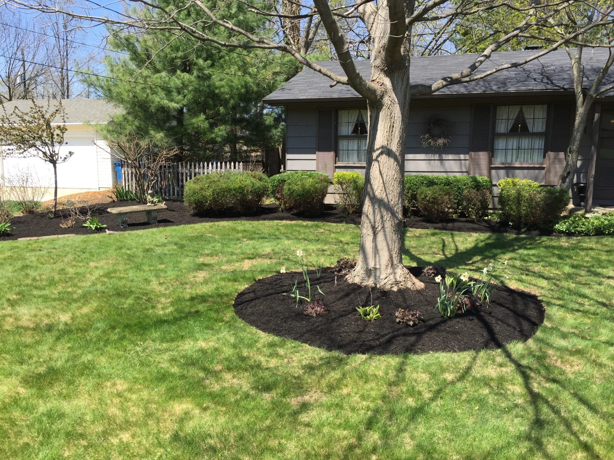 Shrub Trimming - Jimmy's Lawn Service